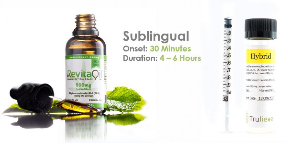 Florida Medical Marijuana for Beginners - My Florida Green