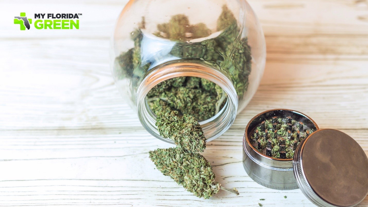 How can Medical Cannabis help with Epilepsy? - My Florida Green
